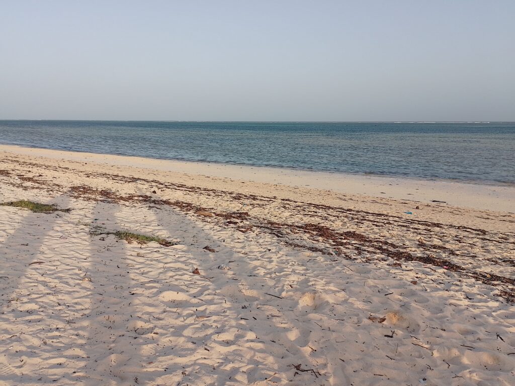 Prime Beachfront Property – Shelly Beach, Likoni | Charringtons Pwani